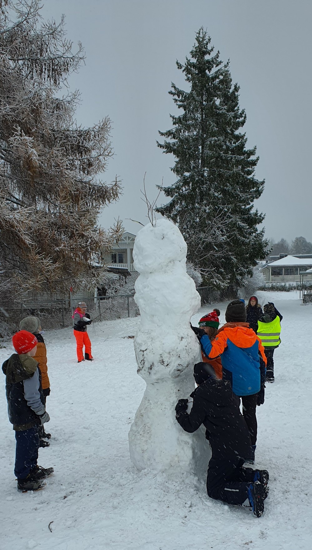 Snø skaper magi på Døli
