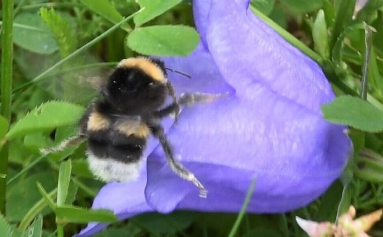 Friluftslivets uke & Kulturminnedagene!